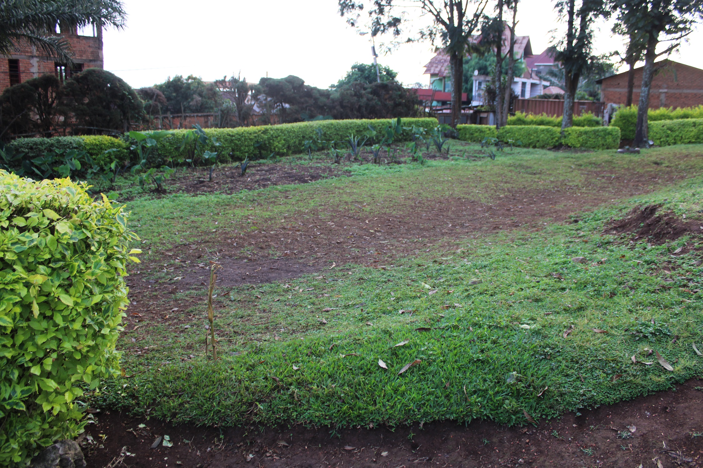 2024-05 Congo space – United Thank Offering